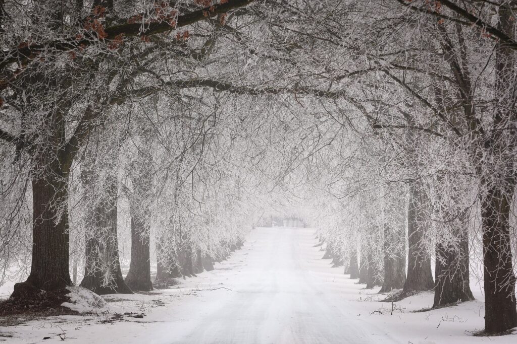 Cold Weather Tips For Homeowners - Suburban Insurance