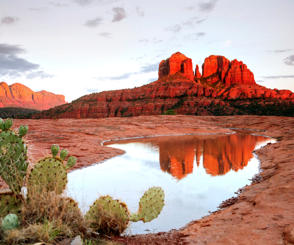 Arizona Insurance Coverage - Suburban Insurance